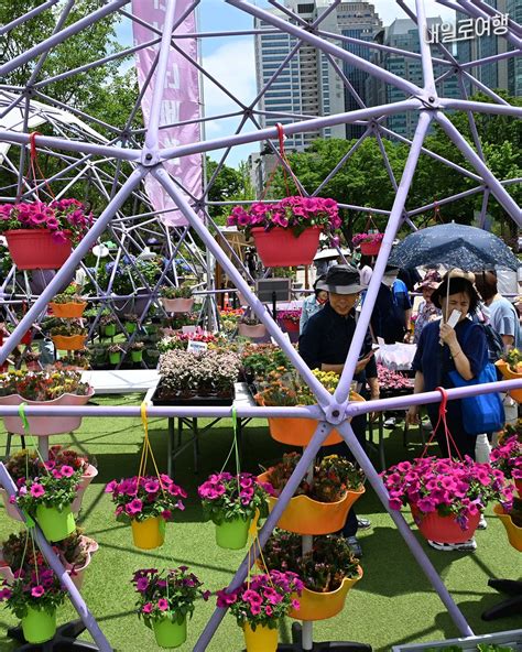 내일로여행 “서울 그린 소울” — 서울이 정원으로 다시 피어납니다 40년 역사의 보라매공원이 111개의 정원으로 재탄생 2025 서울국제정원박람회가 오늘 개막했어요