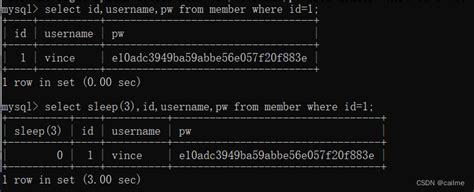 第16天：web漏洞 Sql注入之查询方式及报错盲注web题如何检查是否有sql注入 Csdn博客