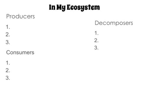 Ecosystem Research Project By Crafty Collections Tpt