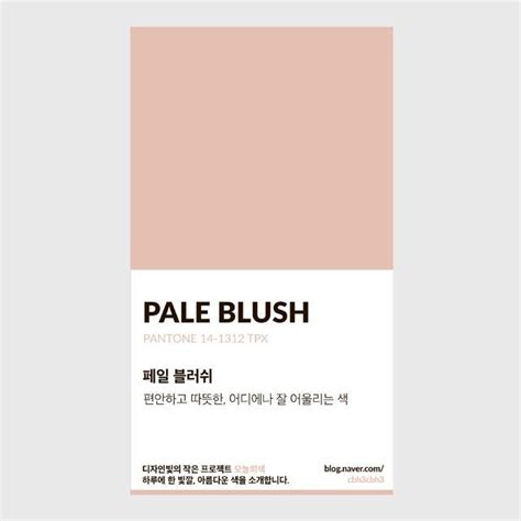 Color Of Today Pale Blush 디자인빛이 오늘 소개해 드릴 색은 페일 블러쉬pale Plush에요 페일 블러쉬와 같은 온화한 색조는 방 전체를 감싸는