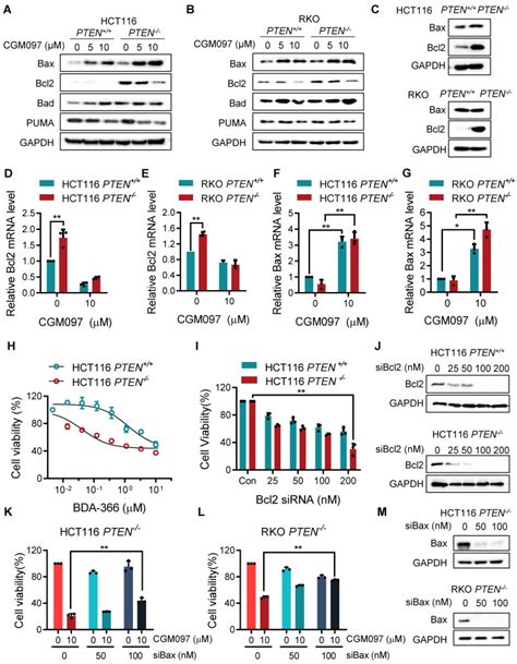 Mdm2 Inhibition Is Synthetic Lethal With Pten Loss In Colorectal Cancer