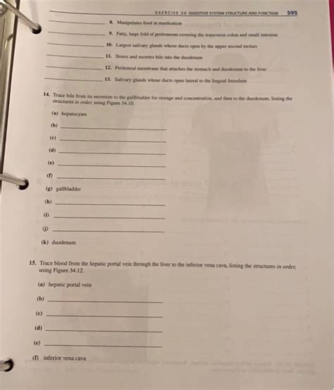 Solved EXERCISE DIGESTIVE SYSTEM STRUCTURE AND Chegg