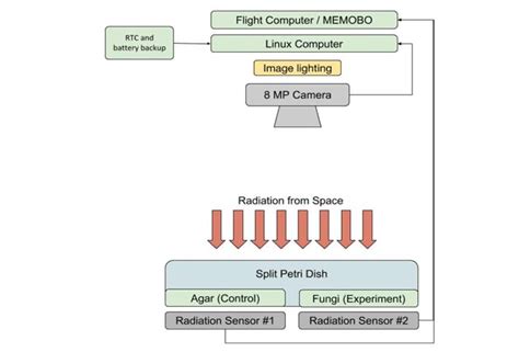 A Self Replicating Radiation Shield For Human Deep Space Exploration Astrobiology