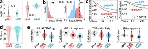 Pediatric Aml Diagnostic Samples With Higher Il 6 Or Il 6r Expression