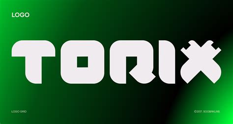 TORIX FIGURE PROJECT 2024 :: Behance