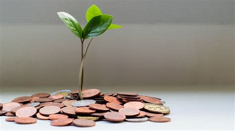 Stader Labs Debuts Ether Staking Product With 6 Yield