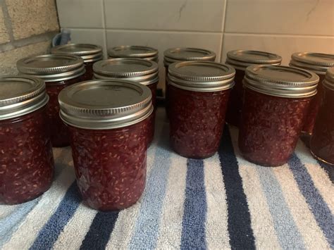 Raspberry Preserves Rcanning