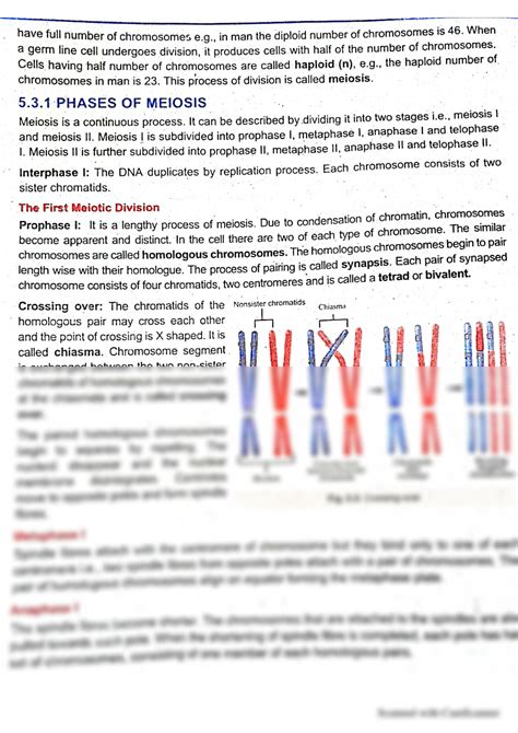 Solution Topic Meiosis Phases And Significance Of Meiosis Documents
