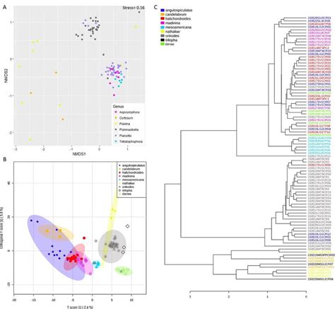 12 Comparaison Des Microbiomes De La Famille Plakinidae A Nmds Des Download Scientific