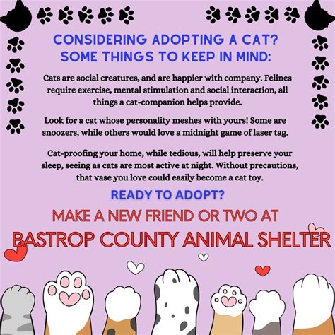 Ready to Adopt? - Shelter Pet Safety Net