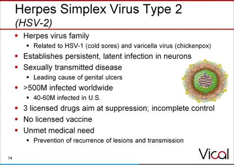 Vicals Herpes Vaccine An Update Otcmkts Frtx Seeking Alpha
