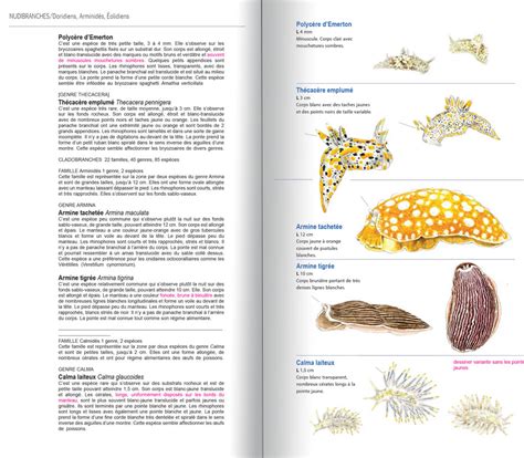 En PrÉvente Guide Des Limaces De Mer Nudibranches Et Autres Groupes
