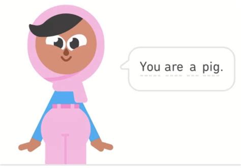 I Love These Weird Statements Rduolingomemes