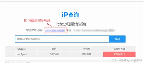 【python网络蜘蛛 · 4】：代理ip的了解和基本使用、查看代理ip的有效性（附源代码）proxies地址怎么查询 Csdn博客