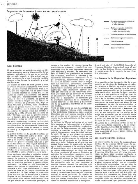 Chiozza 1982 Biomas Con Mapa Pdf Selva Ecosistema