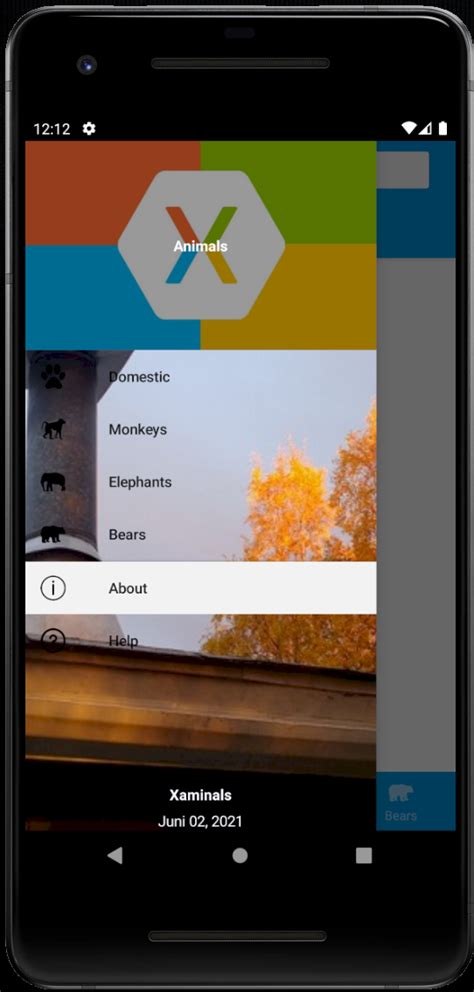 Bug Appshell And Firebase Androidcontentresresources
