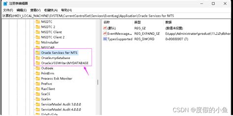 Win11系统完全卸载oracle11g图文详细步骤oracle怎么卸载干净win11 Csdn博客
