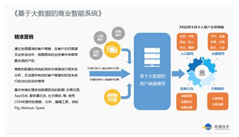 基于大数据的商业智能系统 凯捷技术有限公司 软件服务外包、it规划咨询、信息化解决方案提供与实施