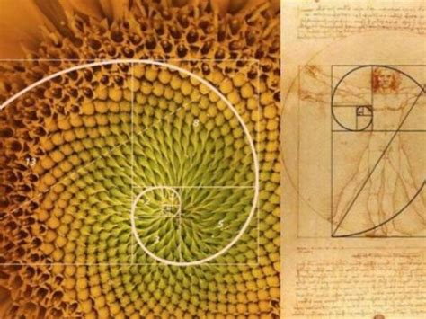 Bilangan Fibonacci Dalam Perpajakan Expert Tax Consulting