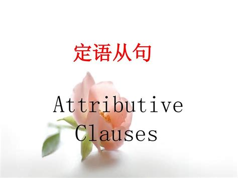 Attributive Clauses Exercise Word文档在线阅读与下载 无忧文档