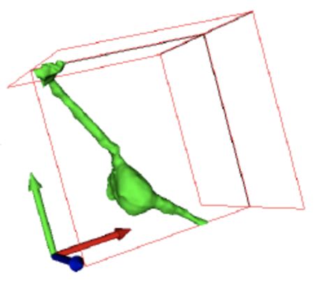 Generating A 3d Reconstruction From Segmented Sections Of A Z Stack