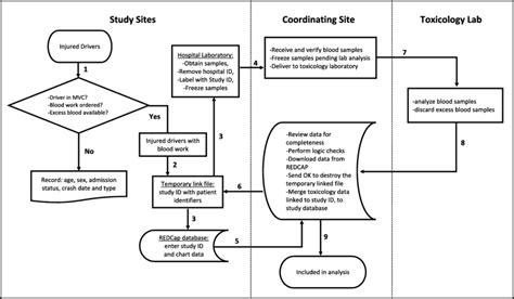 Flow Chart Of Data Handling Procedures Describing The Process Through Download Scientific