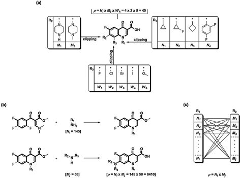 Combinatorial Enumeration Approaches Examples Of 6 Fluoroquinolones