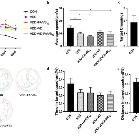 Spatial Learning And Memory Ability In Mice Via Morris Water Maze A Download Scientific