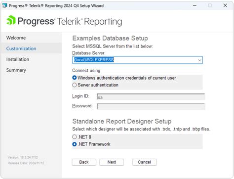 Available Installation Approaches Telerik Reporting