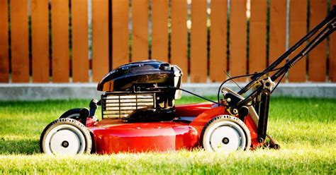 Lawn mower won’t start after sitting for winter - craftingwithconcrete.com