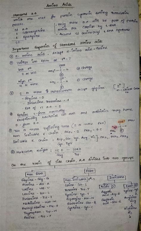 Solution Mind Map Of Amino Acid For Csir Net Gate Dbt And Other