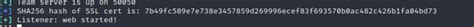 Cobalt Strike Denial Of Service · Issue 1 · Naihe567naihe567github