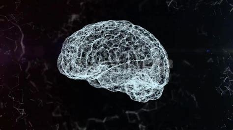 plexus brain rotation 4 videohive 19173652 download quick motion graphics