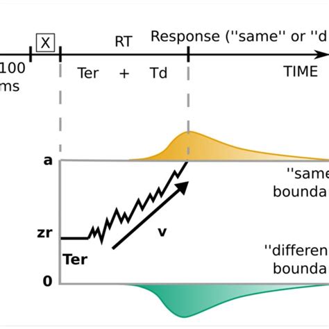 Discrimination Task And Hierarchical Drift Diffusion Model Download