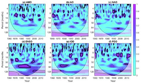 Wavelet Coherence Between Monthly Precipitation Over Northern Pakistan
