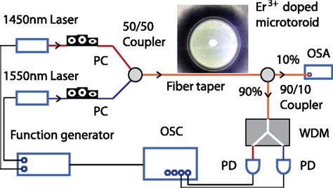 Dynamic Fano Like Resonances In Erbium Doped Whispering Gallery Mode