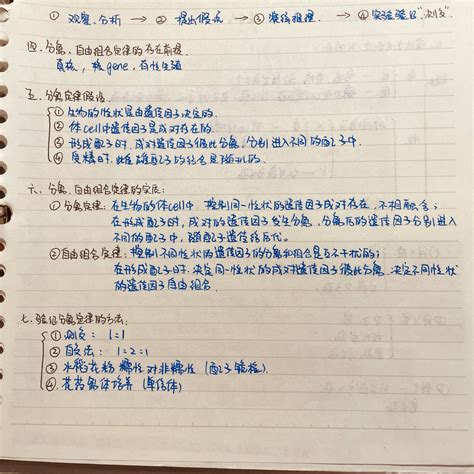 哔哩哔哩相簿，绘你所想，拍你所爱