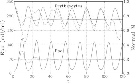 Figure 31 From An Age Structured Model For Erythropoiesis Following A Phlebotomy Semantic Scholar
