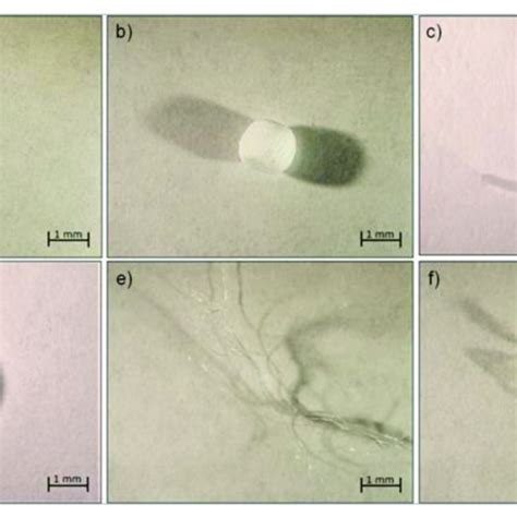 Examples Of Microplastics With Different Sizes And Shapes A