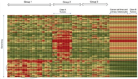 Heatmap Generated From Unsupervised Hierarchical Clustering Analysis