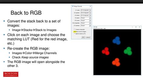 Introduction To ImageJ Tutorial Version Ppt Download