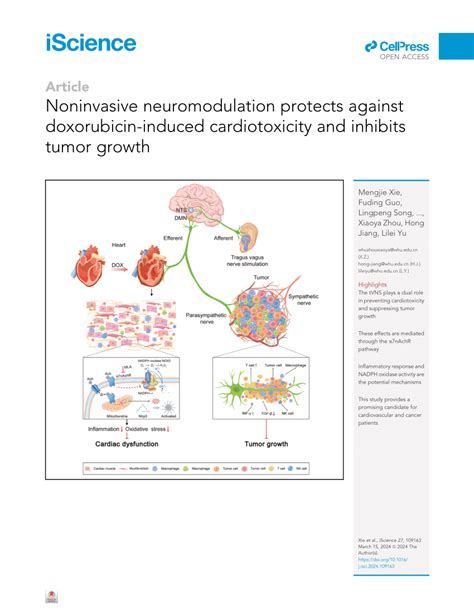 Pdf Noninvasive Neuromodulation Protects Against Doxorubicin Induced