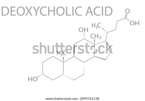 Deoxycholic Acid Molecular Skeletal Chemical Formula Stock Vector
