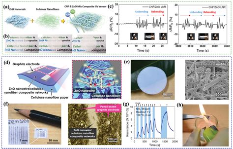 Application Of Nanocellulose‐derived Flexible Materials In Sensors A Download Scientific