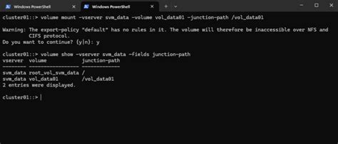 Cheat Sheet Netapp Ontap Commands Used In Day To Day Operations