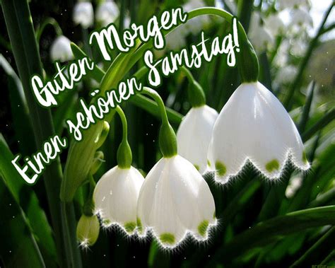 Guten Morgen Samstag GIFs - 50 animierte Grußkarten