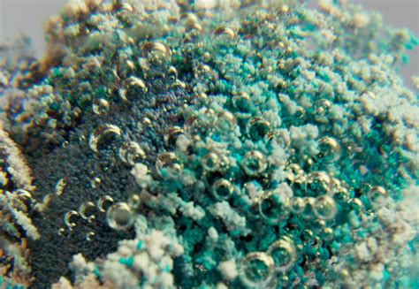 Lee Griggs Nested Dielectric Bubbles