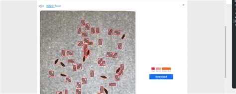 Develop Custom Object Detection Applications For Web And Mobile By