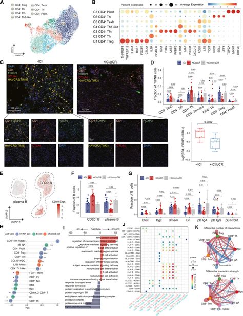 Remodeling Of The Immune And Stromal Cell Compartment By Pd 1 Blockade