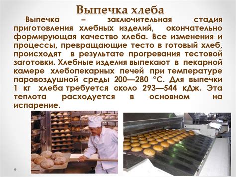 Хлеб. Технология производства - online presentation